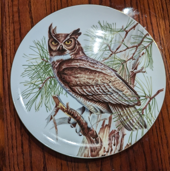 fine China | Other | Collector Owl Plate | Poshmark